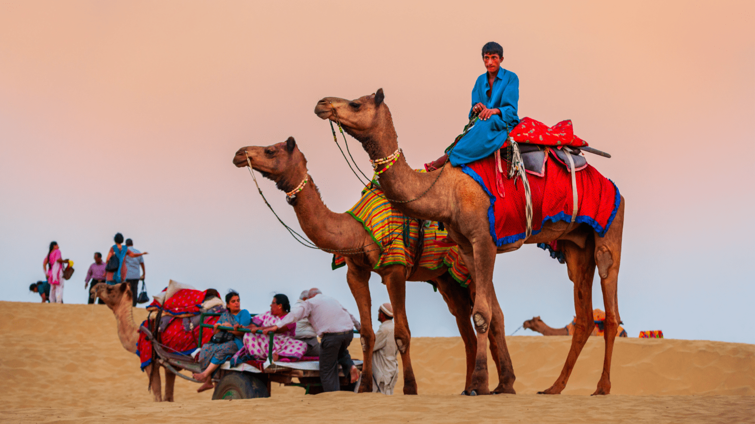 Guide Francophone India - Voyage en Inde avec Bhanwar Singh - French ...